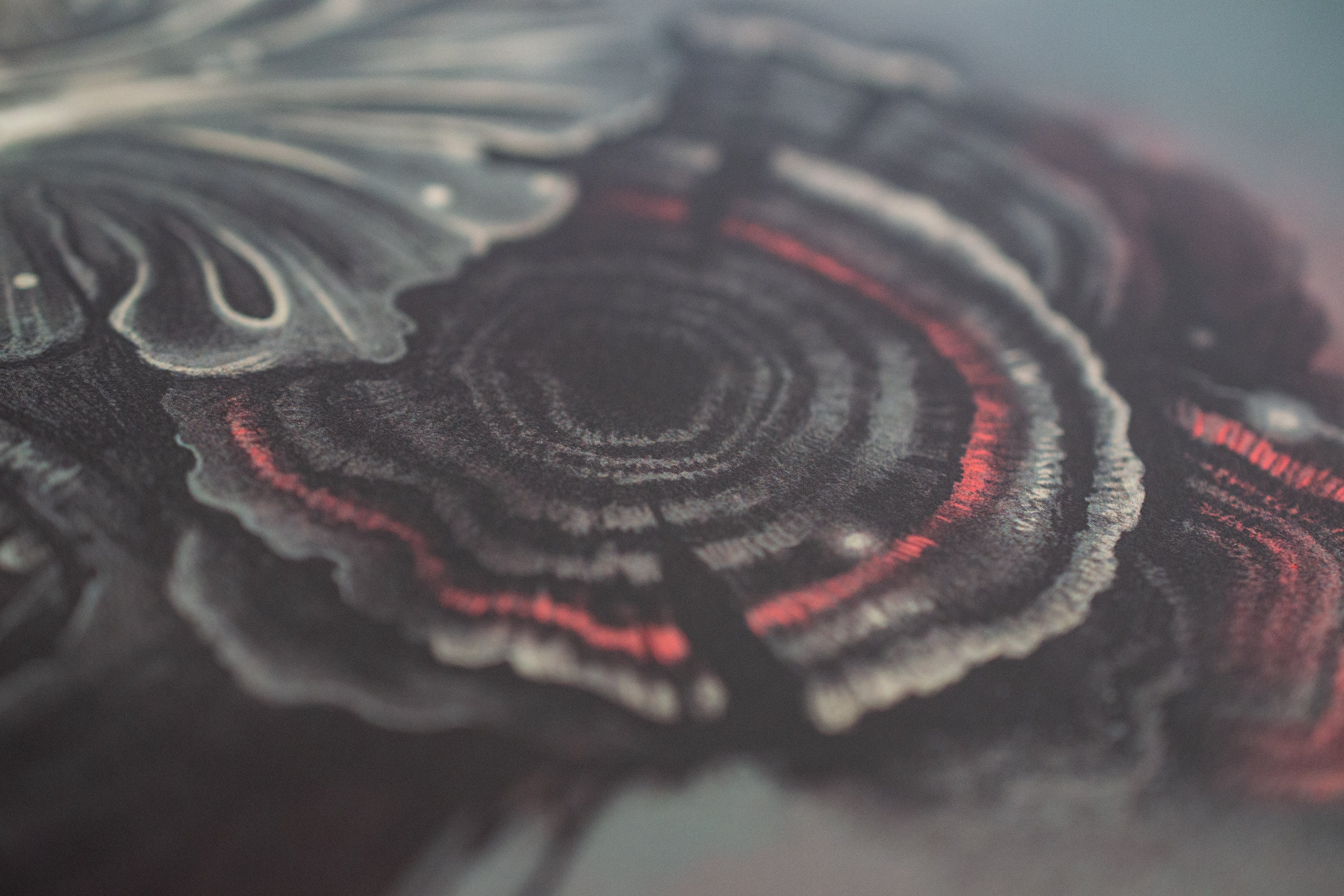 Infected the Last of Us Clicker Monster Art Print - Etsy UK