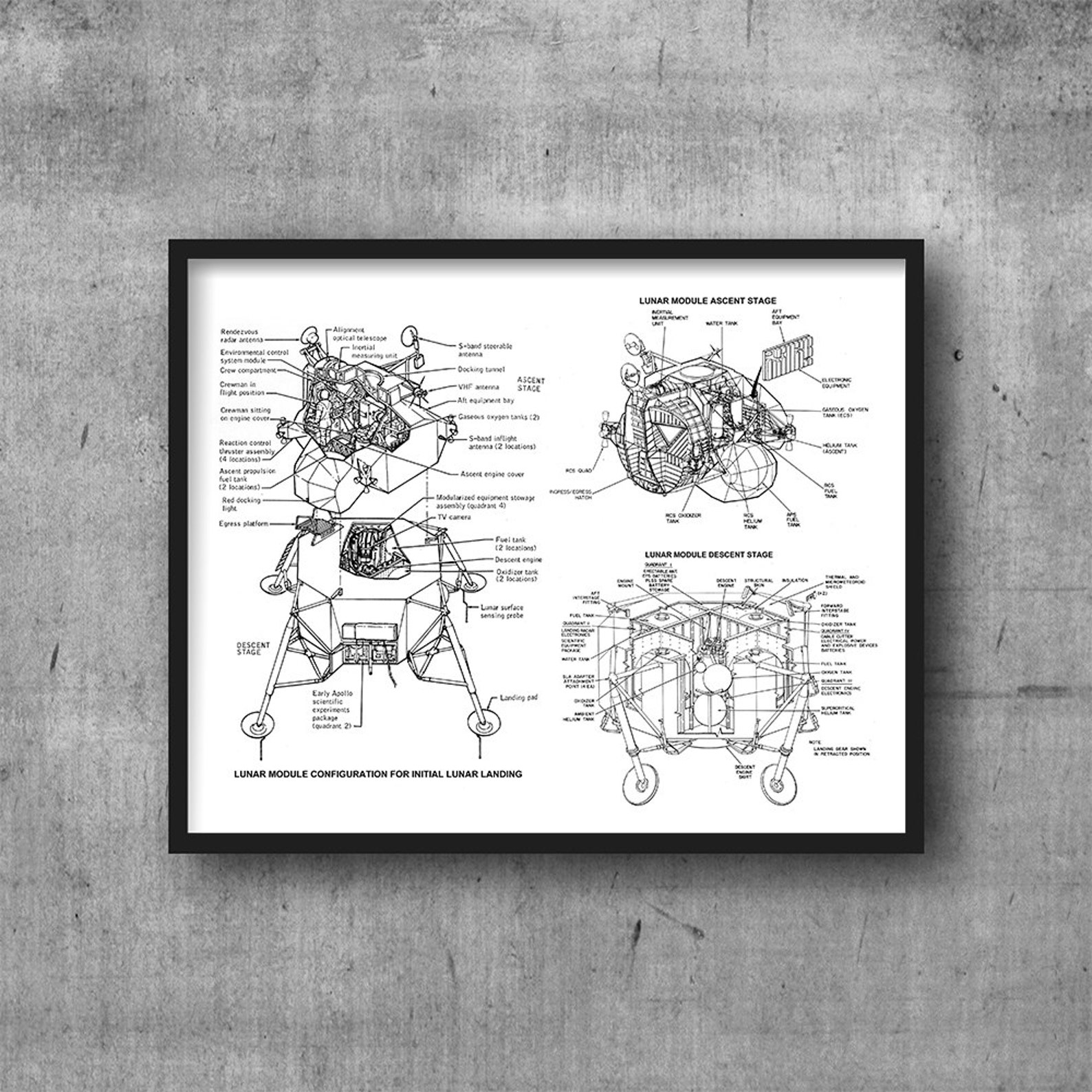 Apollo Lunar Lander Module Schematic, Wall Art Print, Vintage NASA ...