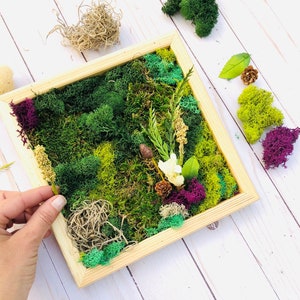DIY Moss Art Kit, Team Building Craft Kit, Gift for Crafter, Plant ...