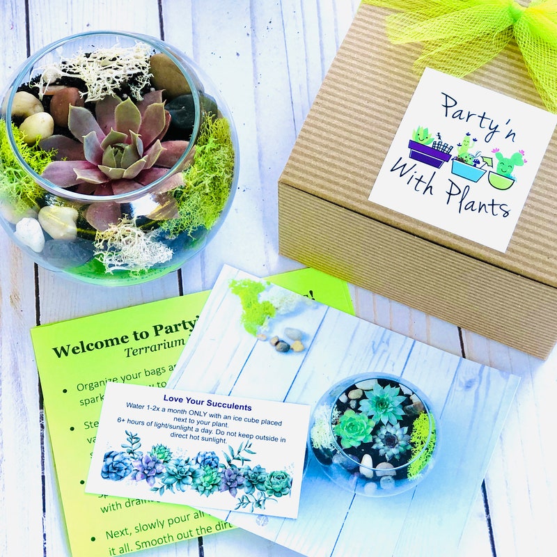 Adult Craft Kit - Etsy