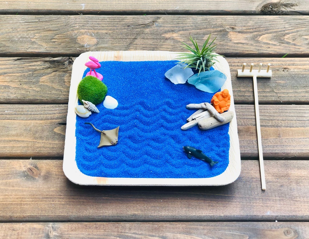 Ocean Zen Garden Kit: Air Plant, Blue Sand, Beach Decor - Etsy