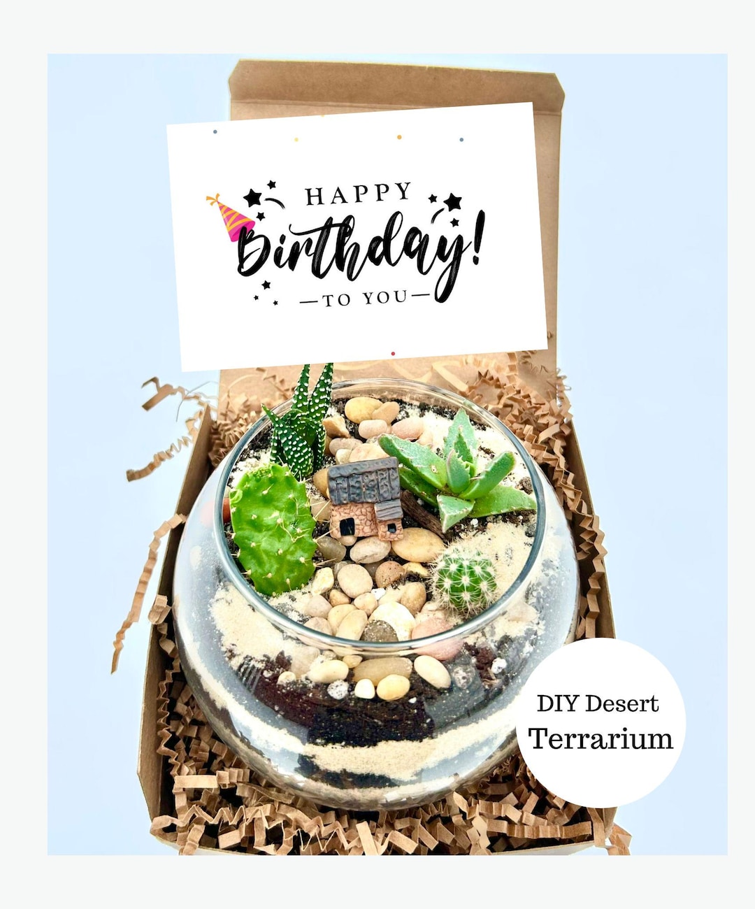 Cactus Birthday Gift, Cactus Gift Box, Terrarium Gift, Plant Gift Box ...