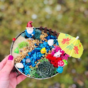 Gnome Fairy Garden Kit, Gnome Craft Kit, Gnome Terrarium, Succulent ...