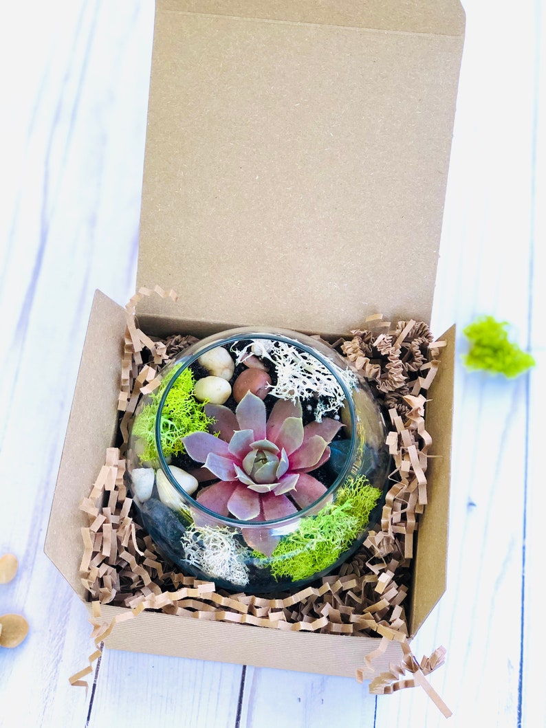 DIY Craft Craft Kits For Adults Personalized Gift DIY Etsy diy-craft-craft-kits-for-adults-personalized-gift-diy-etsy