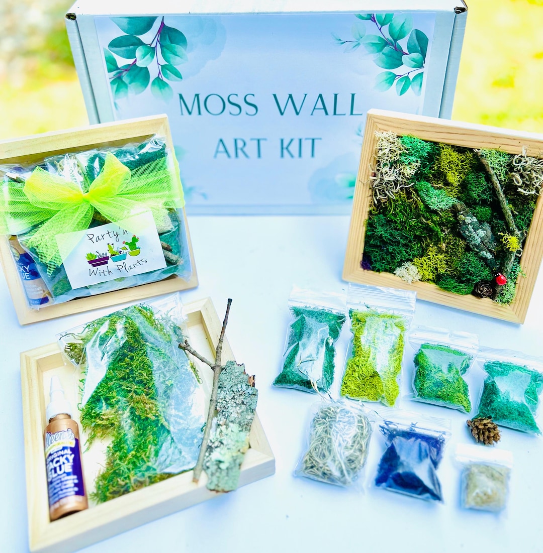 DIY Moss Wall Art Kit: Preserved Reindeer Moss, Natural Elements - Etsy