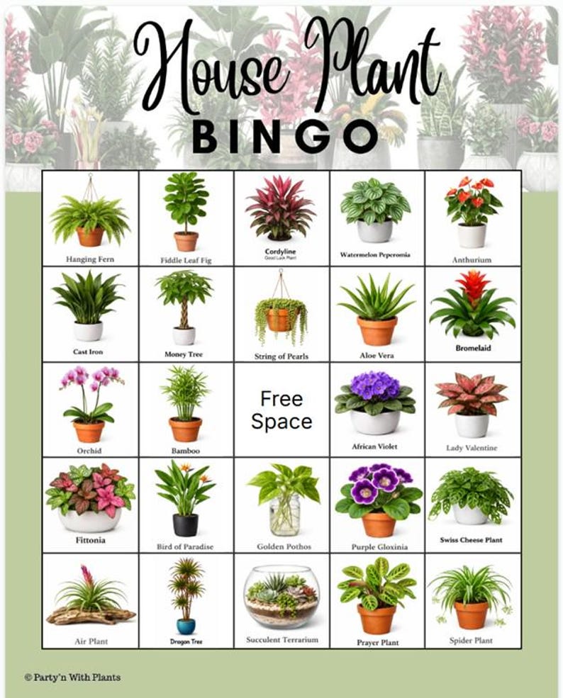Printed & Laminated House Plant Bingo Cards, Custom Plant Bingo Card - Etsy