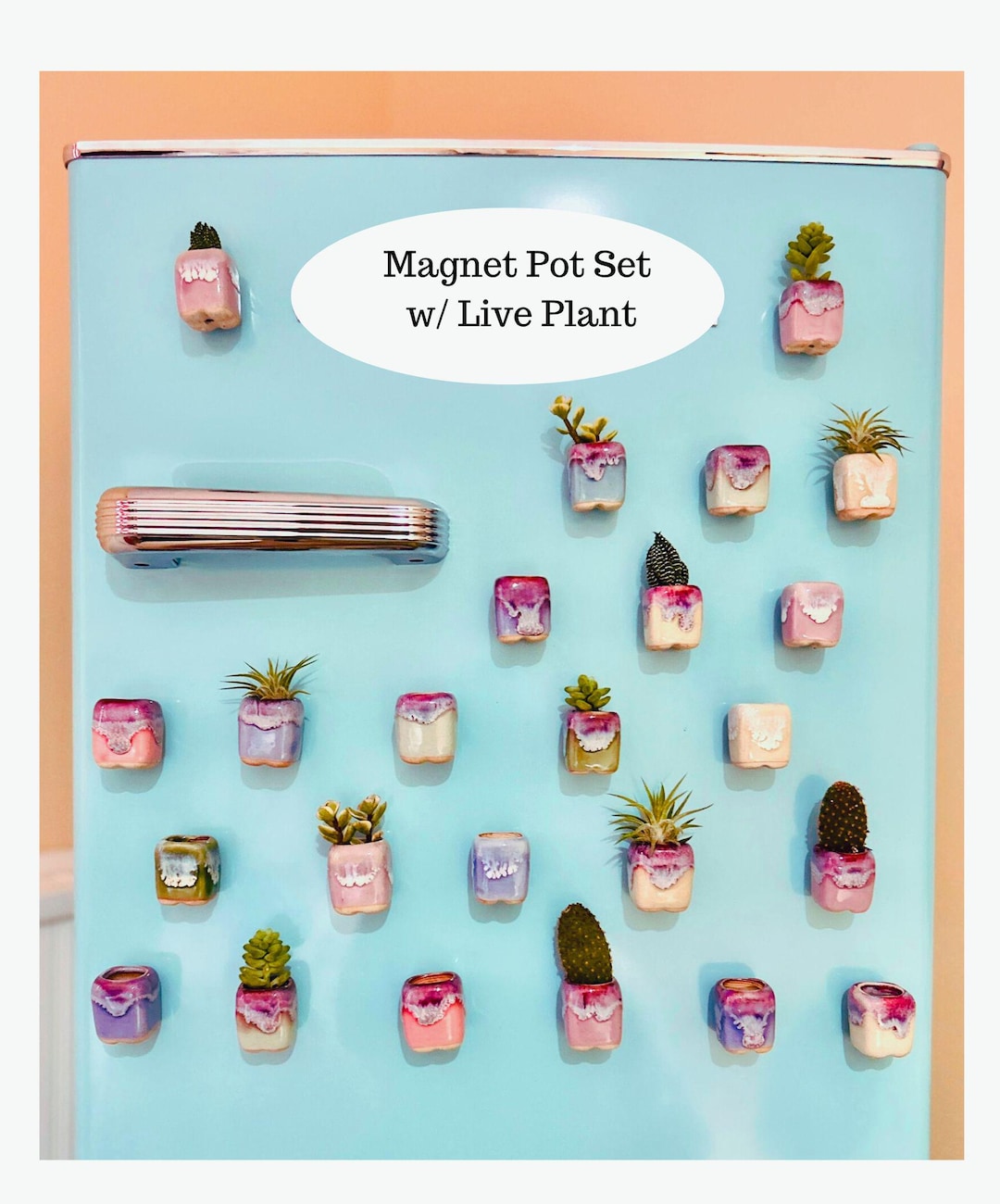 Magnet Planter Set 2, 2 Magnet Pot W/live Plant, Gift Under 20, Fridge ...