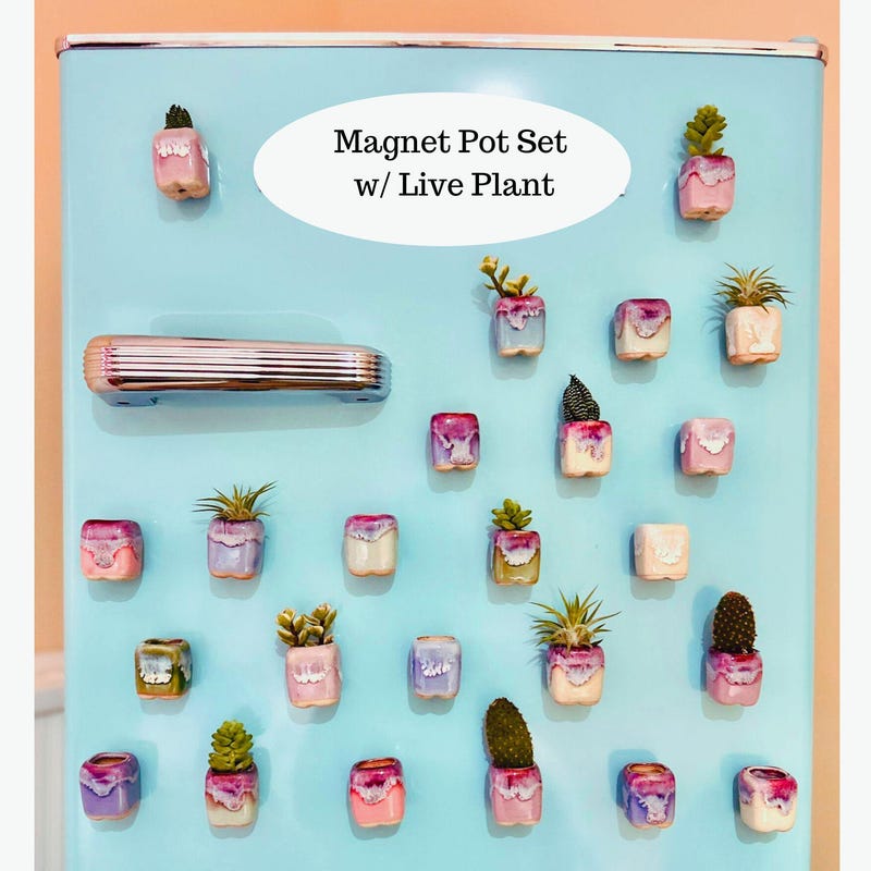 Mini Fridge Magnet Planter - Etsy
