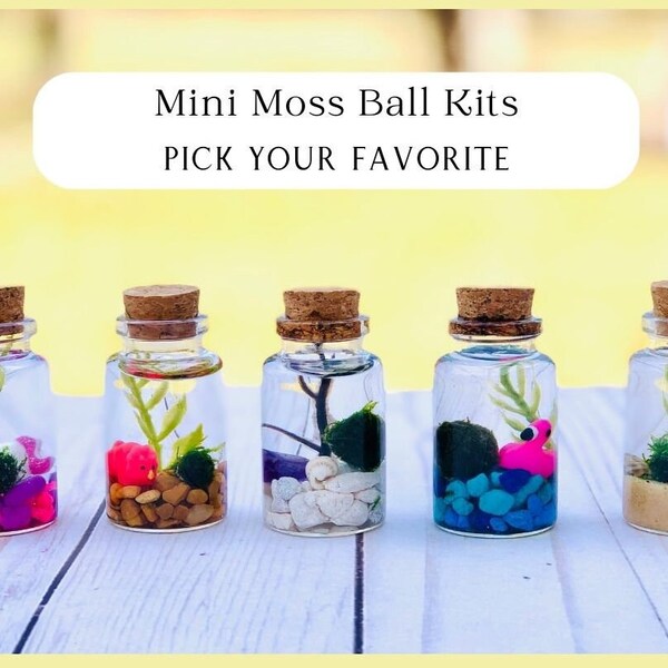 Moss Ball Terrarium - Etsy