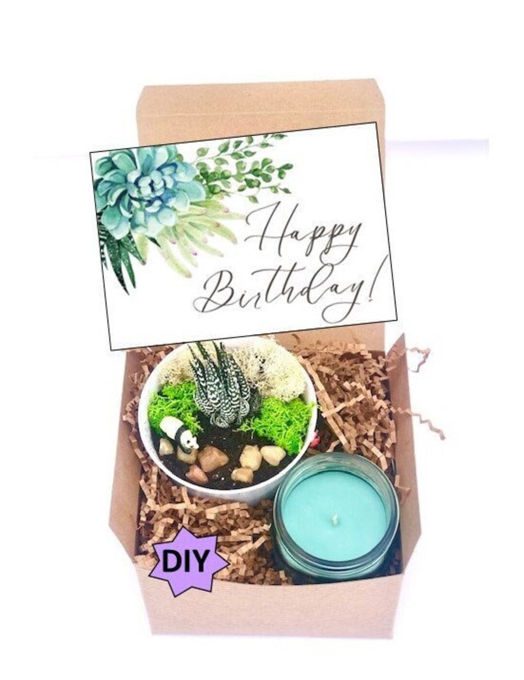 Happy Birthday Candle & Succulent Greeting Gift Box Set, Birthday ...