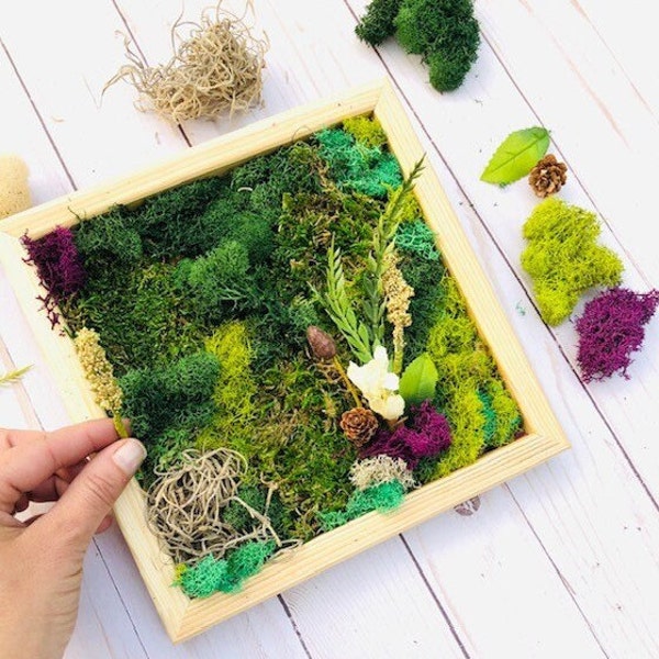 Moss Frame - Etsy