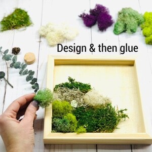 DIY Moss Art Kit, Team Building Craft Kit, Gift for Crafter, Plant ...