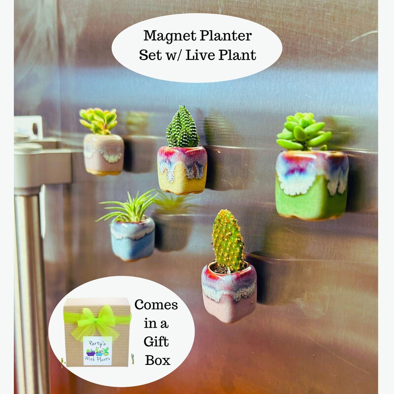 Plant Magnet - Etsy