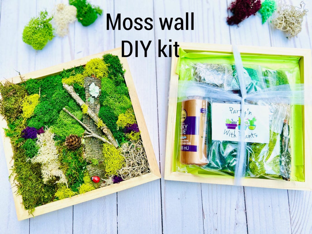 Moss Making Kit, DIY Moss Art Kit, Team Building Craft Kit, Virtual ...