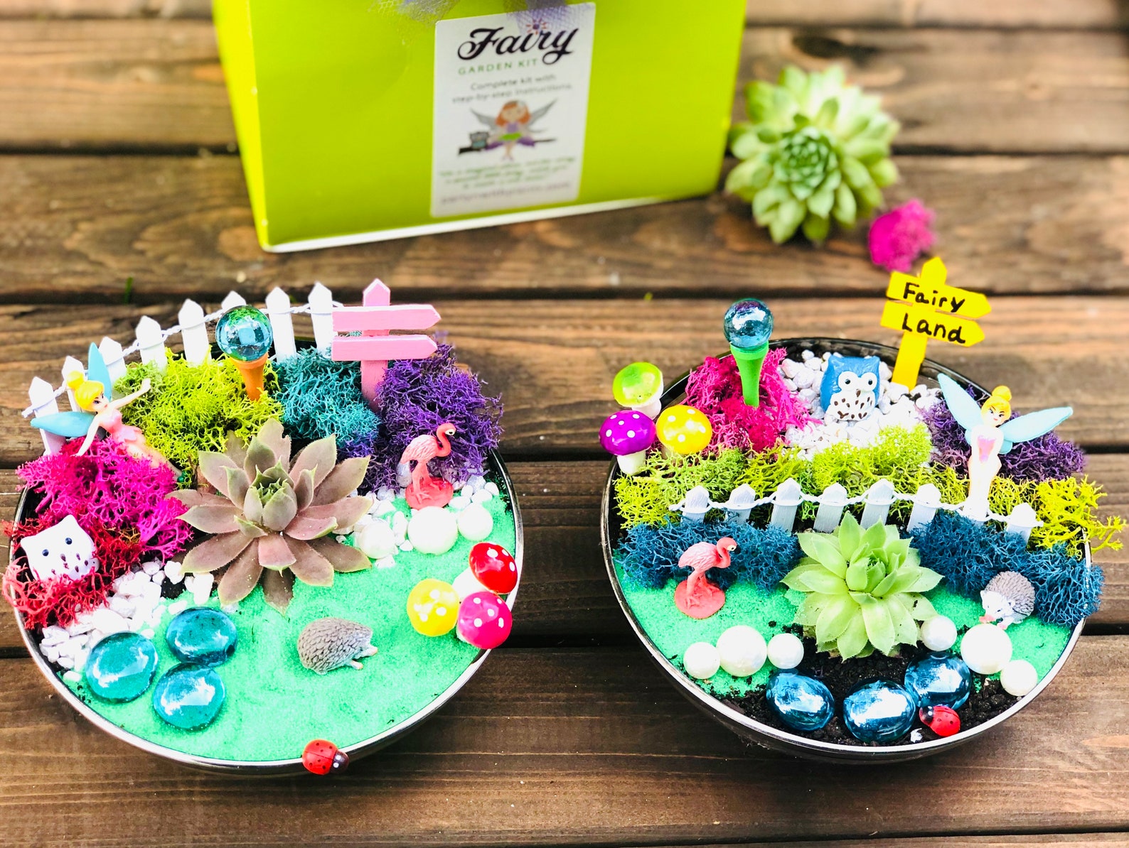 Fairy Garden Kit Kids Craft Box Garden Kit Kids Fairy | Etsy