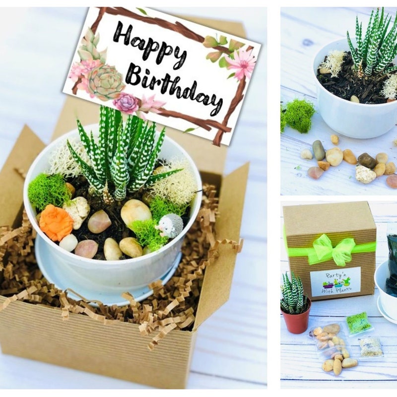 PartynWithPlants - Etsy