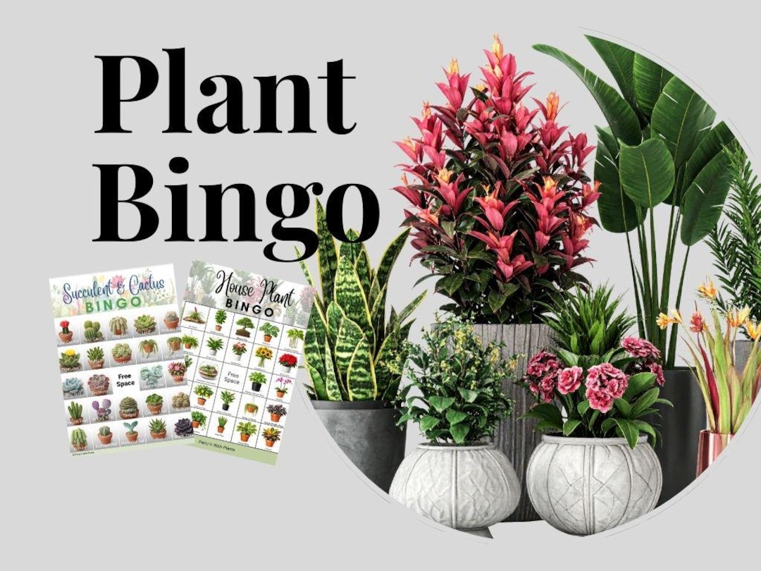 Printed & Laminated Plant Bingo Cards, Plant Game, Plant Party - Etsy