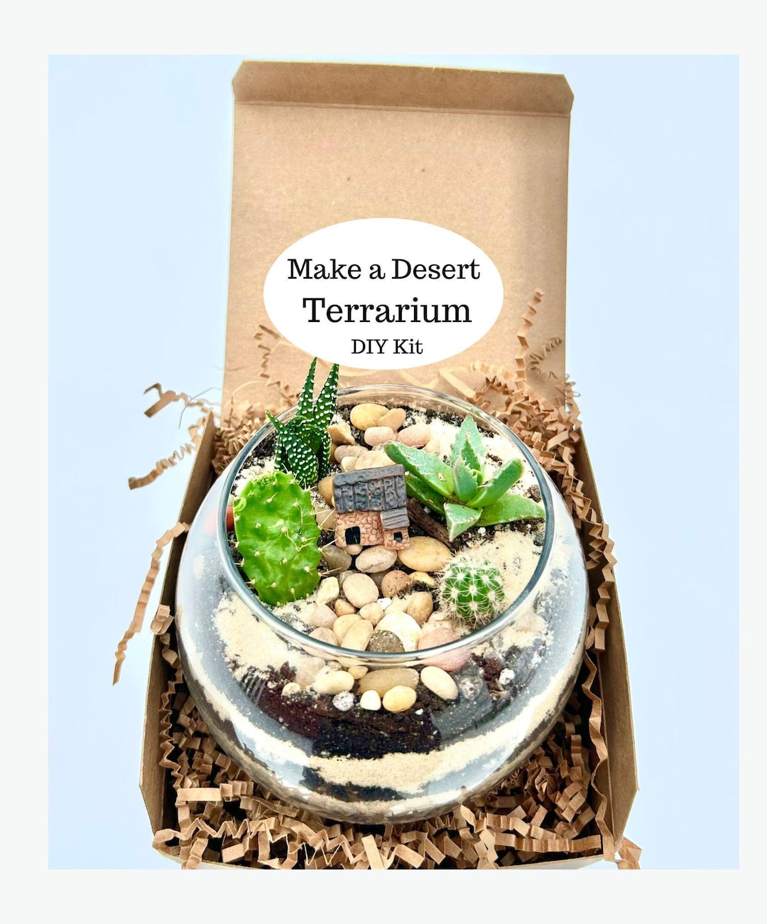 DIY Desert Terrarium Kit: Succulents, Cacti, Glass Bubble Vase - Etsy