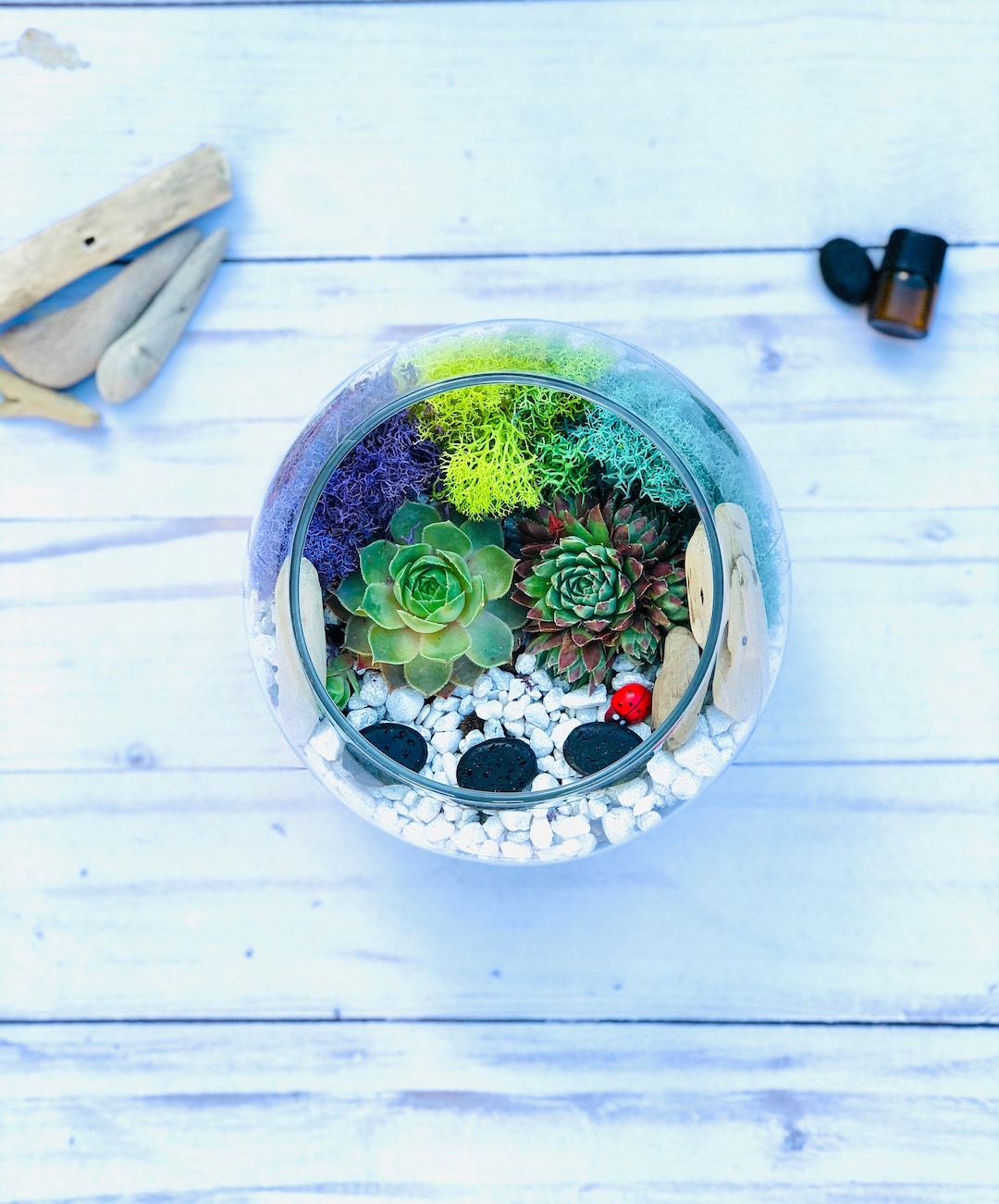 Plant Diffuser, Essential Oil Diffuser, Desk Diffuser, Succulent ...