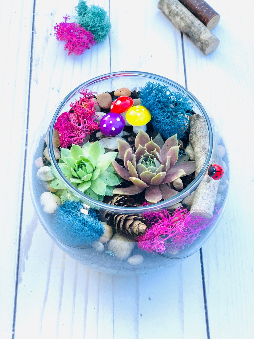 Mushroom Terrarium Kit, Mushroom Succulent Terrarium Kit, DIY Glass ...