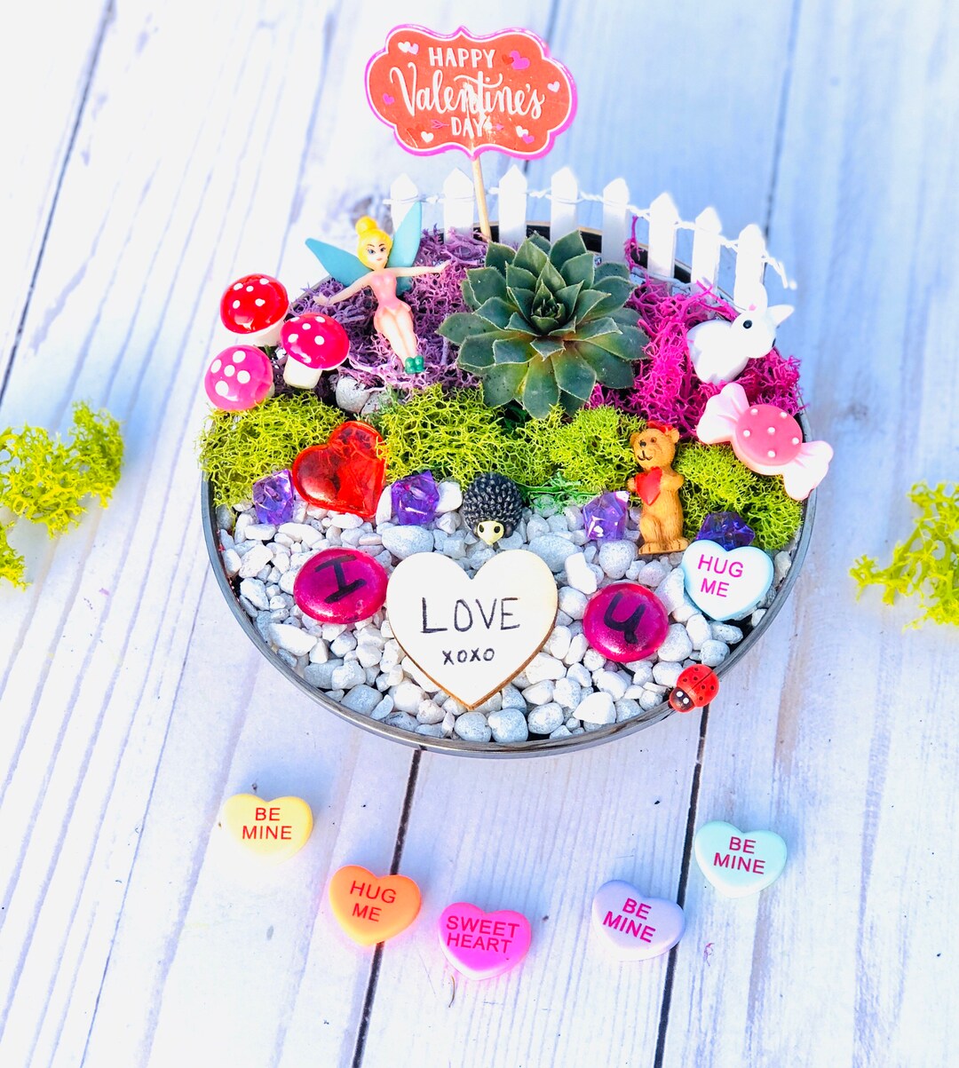 Valentine Fairy Garden Kit, Kids Valentines Craft, Valentine Gift for ...