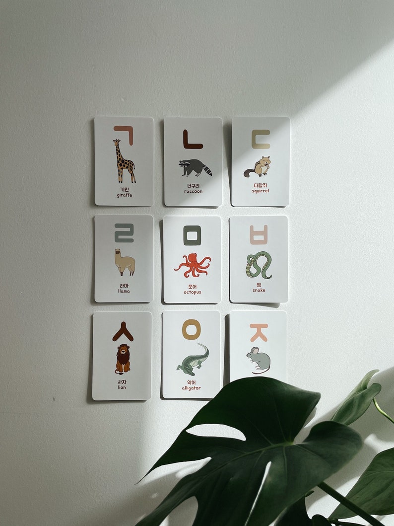 Korean Alphabet Flash Cards for Kids, Counting Cards With Animals - Etsy