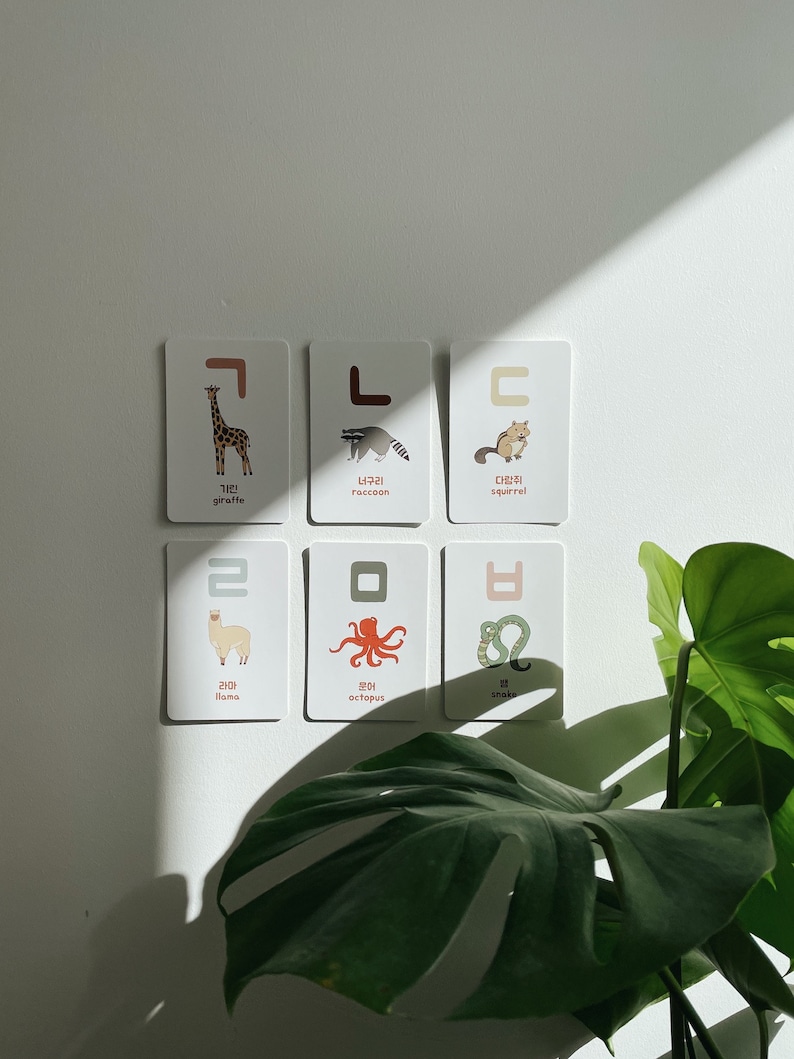 Korean Alphabet Flash Cards for Kids Counting Cards With - Etsy
