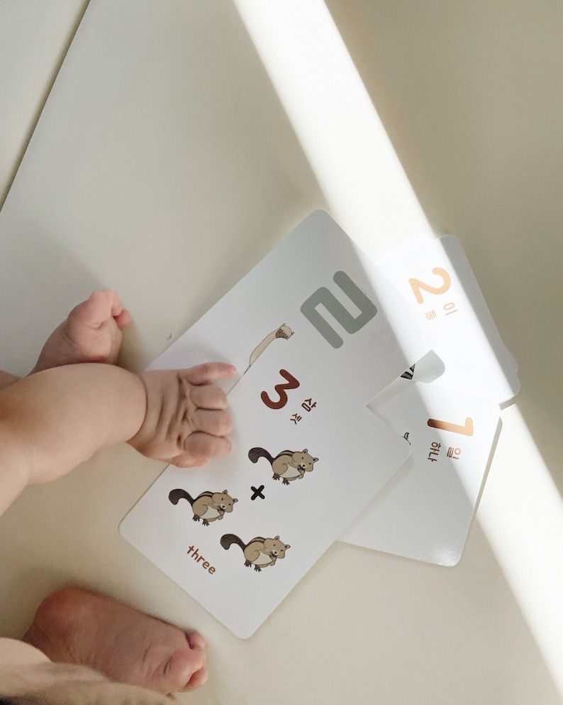 Korean Alphabet Flash Cards for Kids Counting Cards With - Etsy