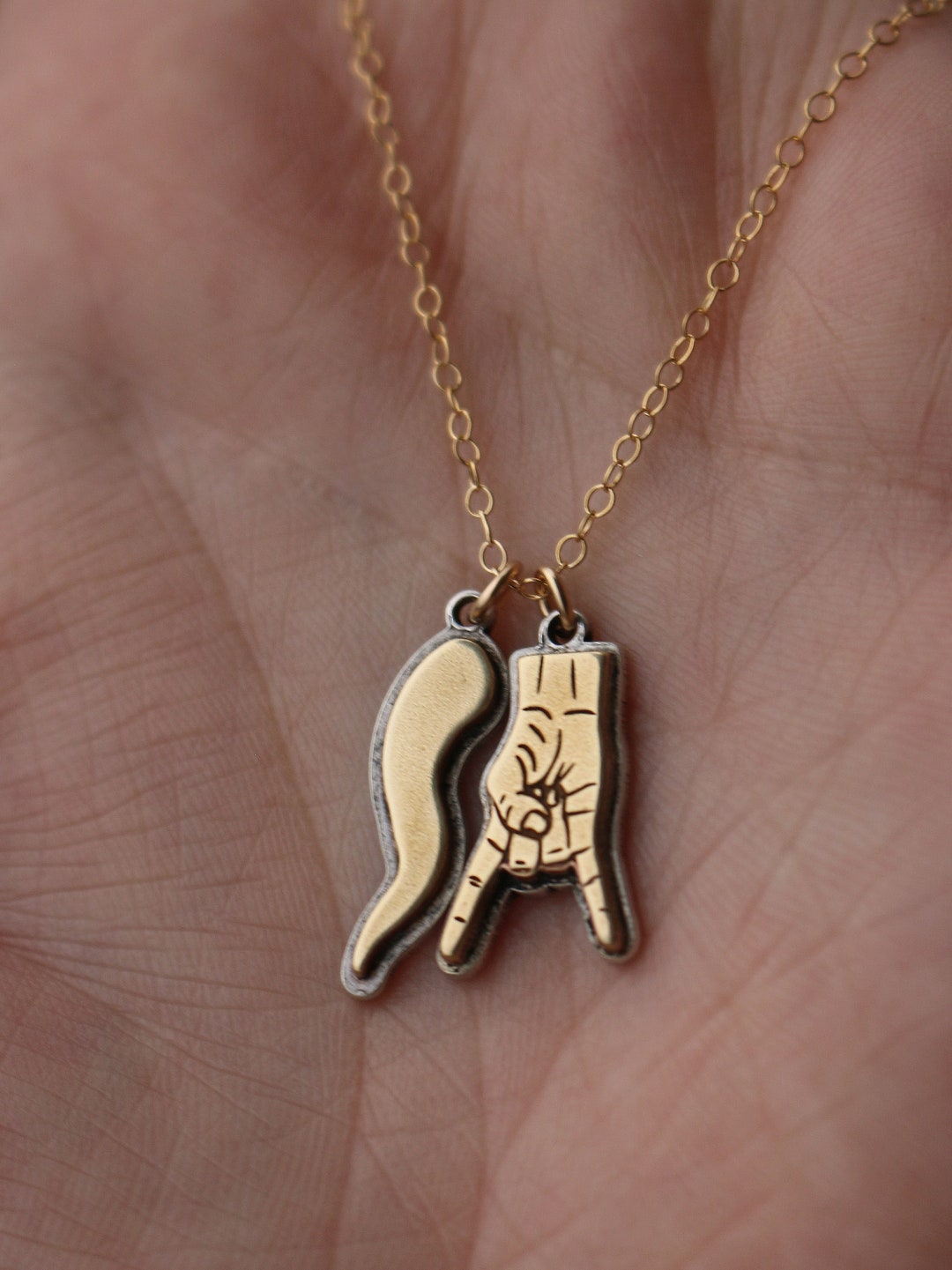 Mano Cornuto Cornicello Necklace | Good Luck Charm | Protection ...