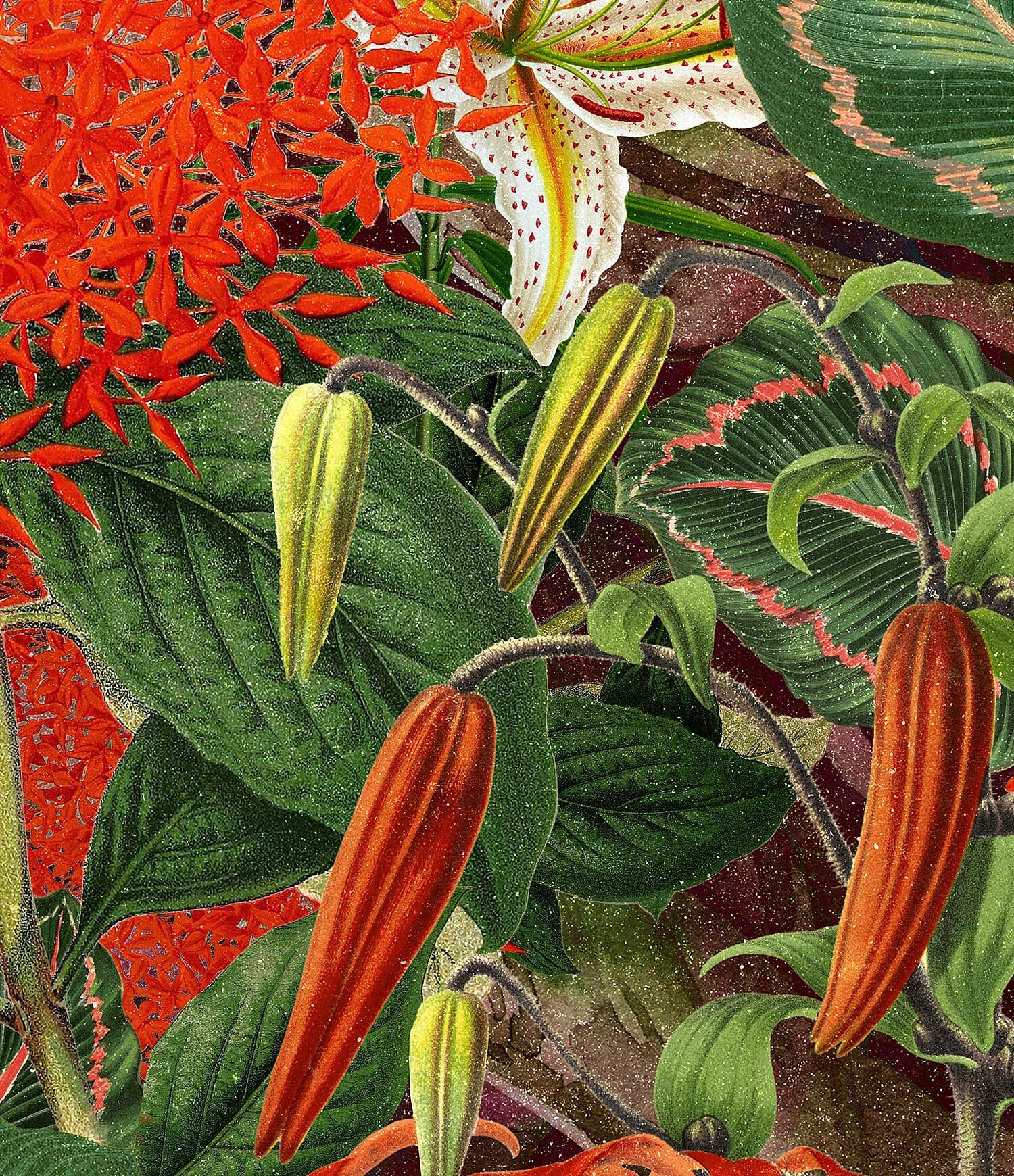 Vibrant Bright Jungle Wallpaper Vintage Mid Century 60's - Etsy