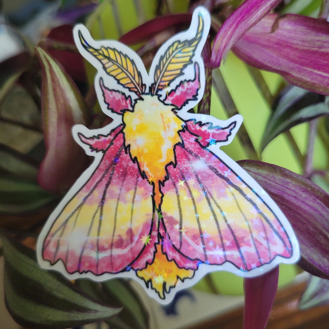Rosy Maple Moth Sticker , Starry, Glittery Bug, Vinyl Coated ...