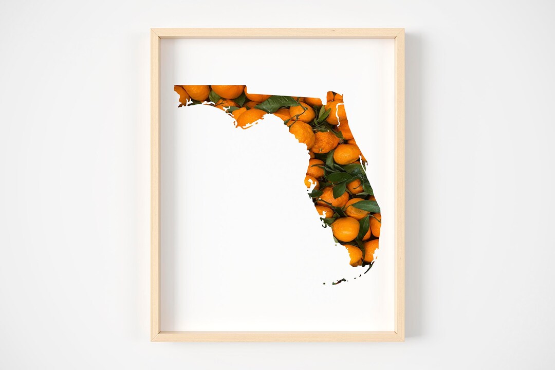 Wall Art Florida Print Florida Decor Florida Wall Art - Etsy Sweden