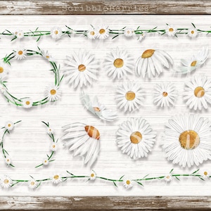 Daisy Clip Art, Flower Clip Art, Spring Clip Art, Flowers Clip Art ...