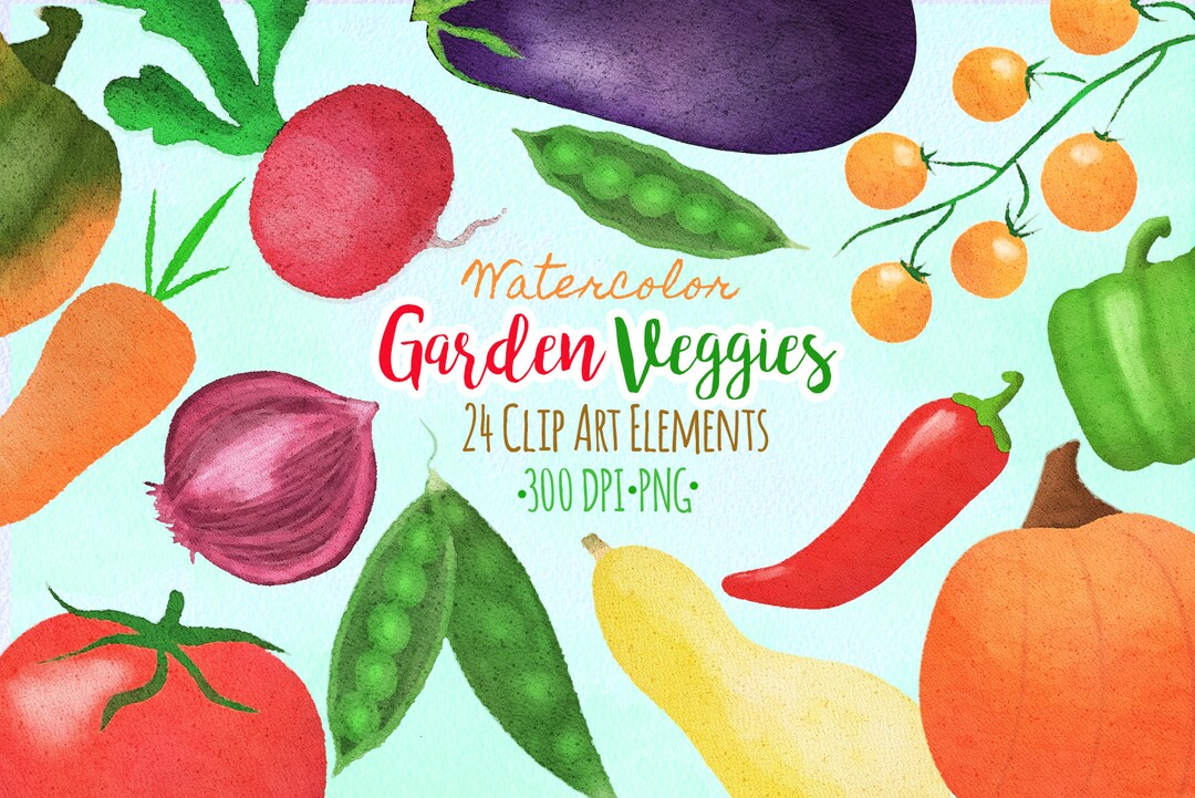 Watercolor Garden Veggies Clipart, Garden Vegetables Clipart, Fresh ...