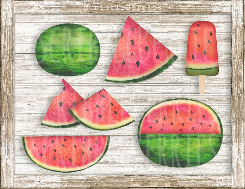 Watermelon Clip Art Melon Clip Art Watermelon Watermelon - Etsy