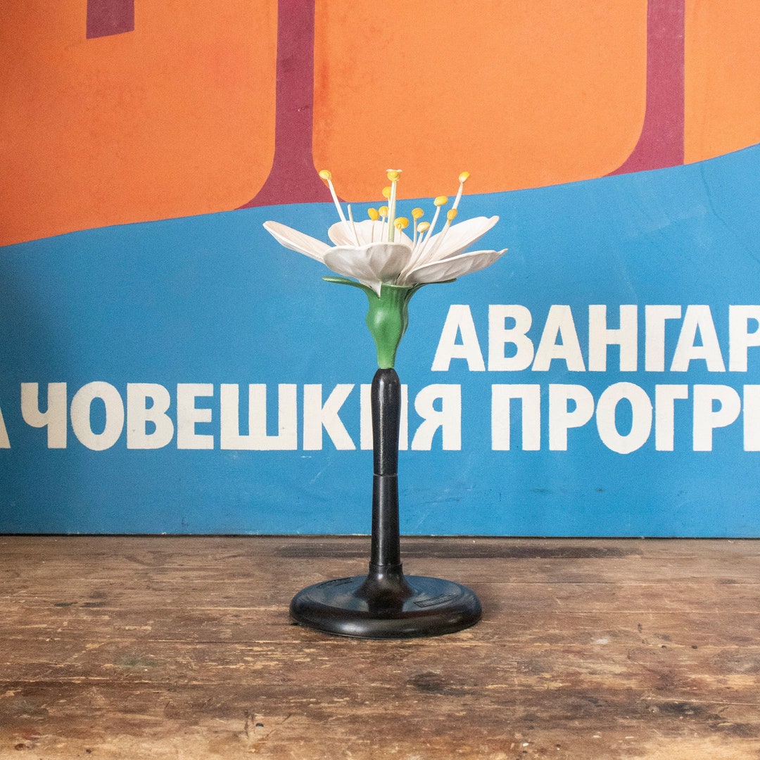 Vintage Botanical Model of a Plum Flower - Etsy