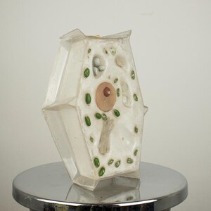 Vintage Plant Cell Model - Etsy
