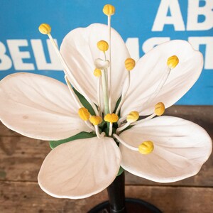 Vintage Botanical Model of a Plum Flower - Etsy