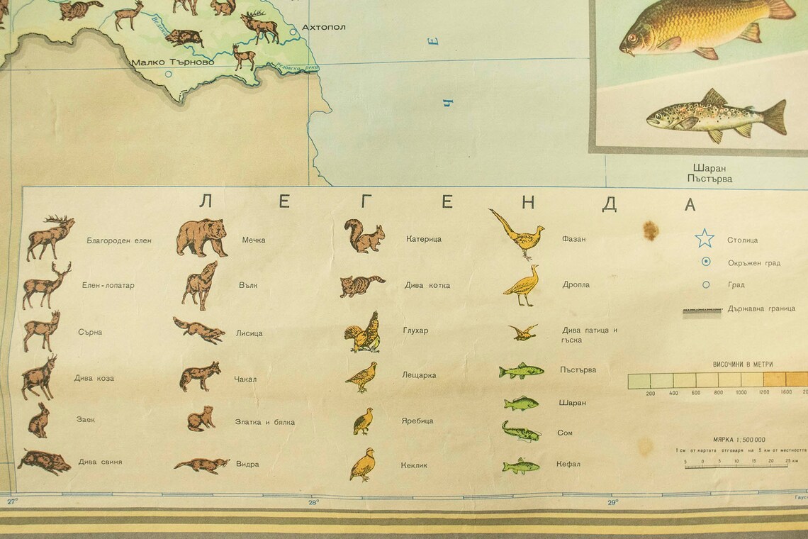 Vintage Map of the Distribution of the Hunted Animals of | Etsy