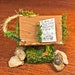 Fairy House Table Setting - Etsy
