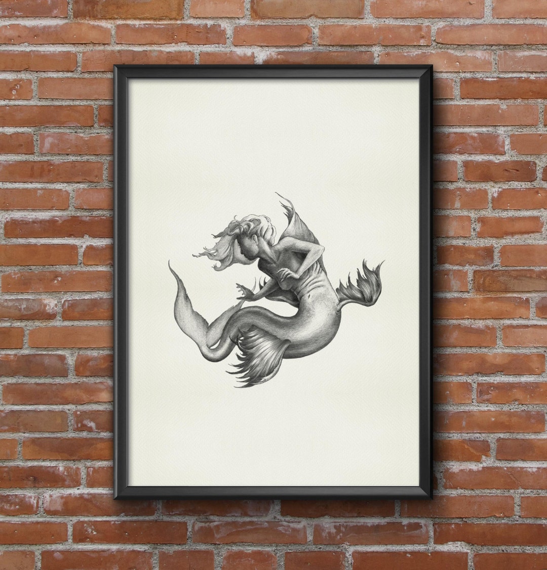 Old Vintage Illustrations of Anatomy-anatomy-medical Mermaid Prints - Etsy