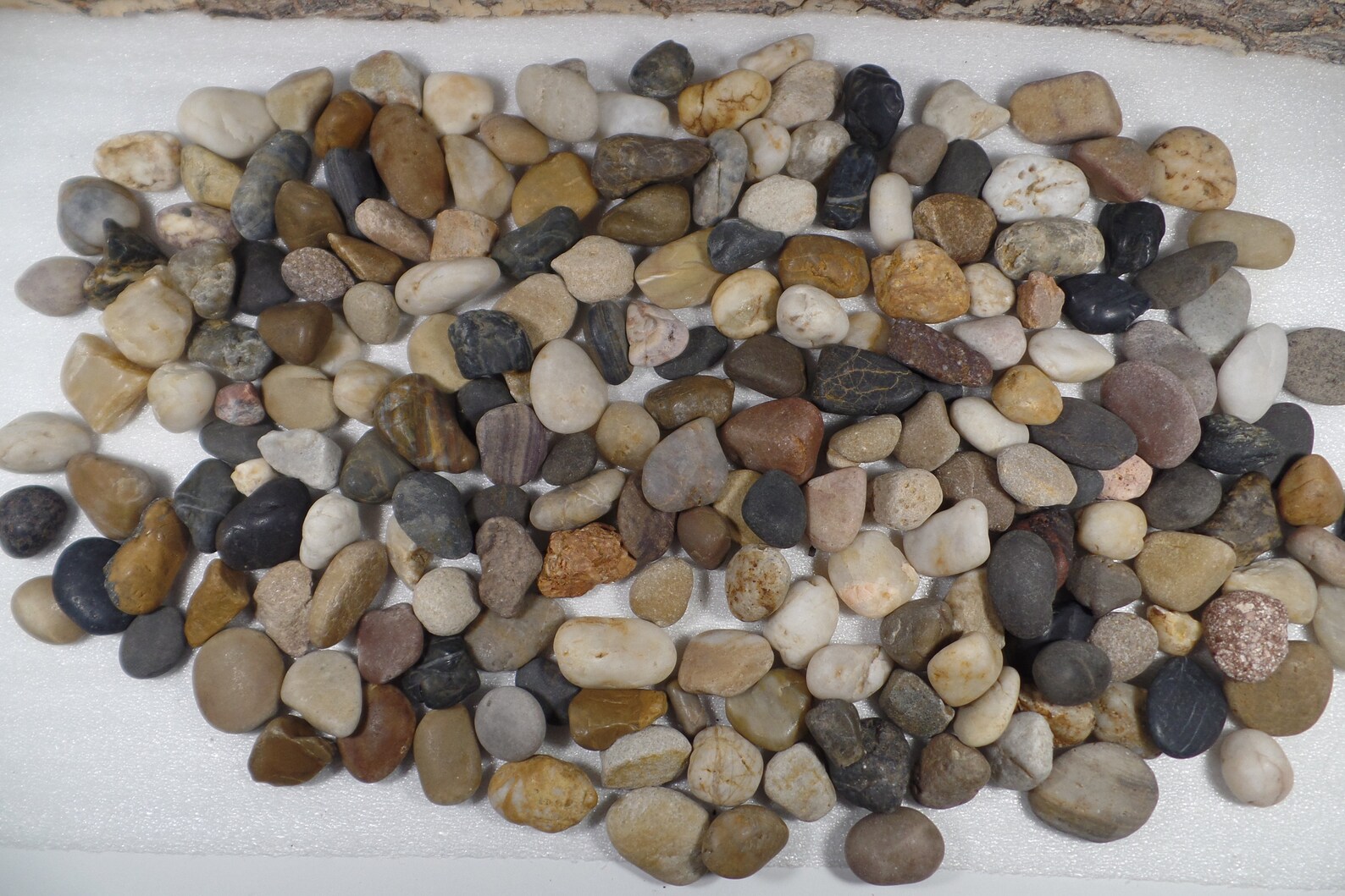 4 lb. 1/2 to 1 1/8 Multi Color River Rock 150 | Etsy