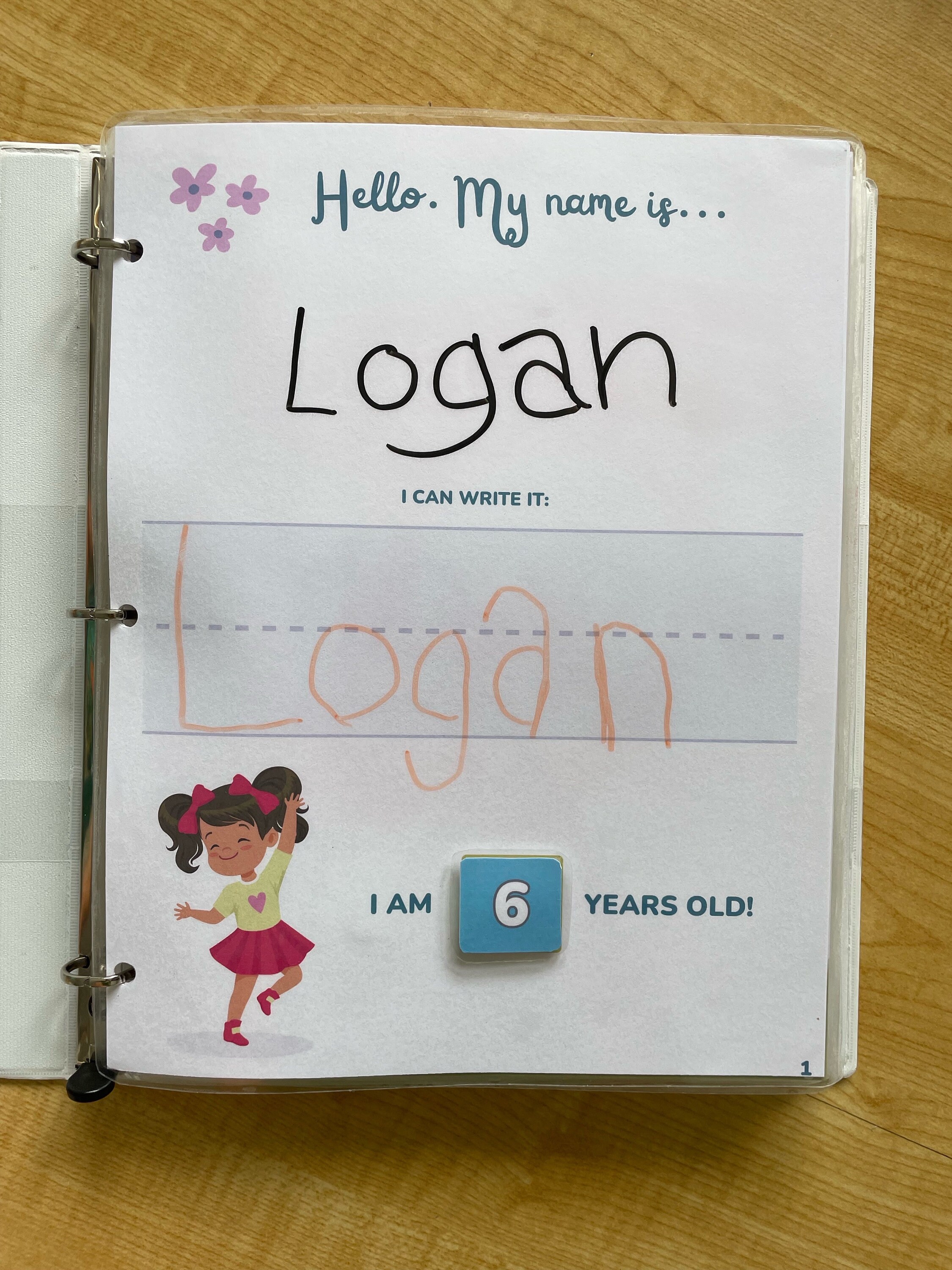 Preschool Learning Binder DIGITAL PDF DOWNLOAD Early Learning Education ...