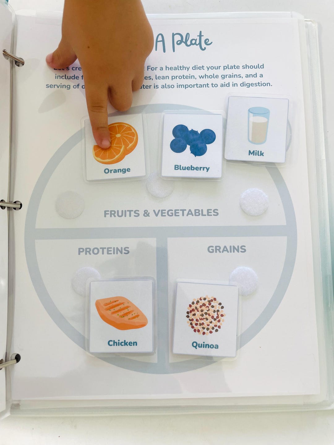 The Digestive System - Healthy Eating - Interactive Worksheets ...