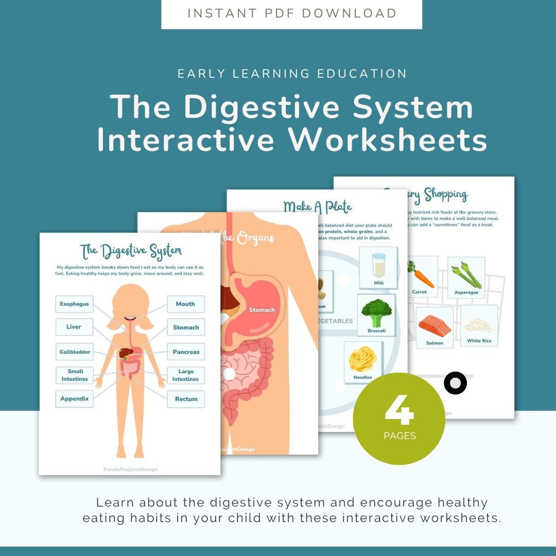 The Digestive System - Healthy Eating - Interactive Worksheets ...