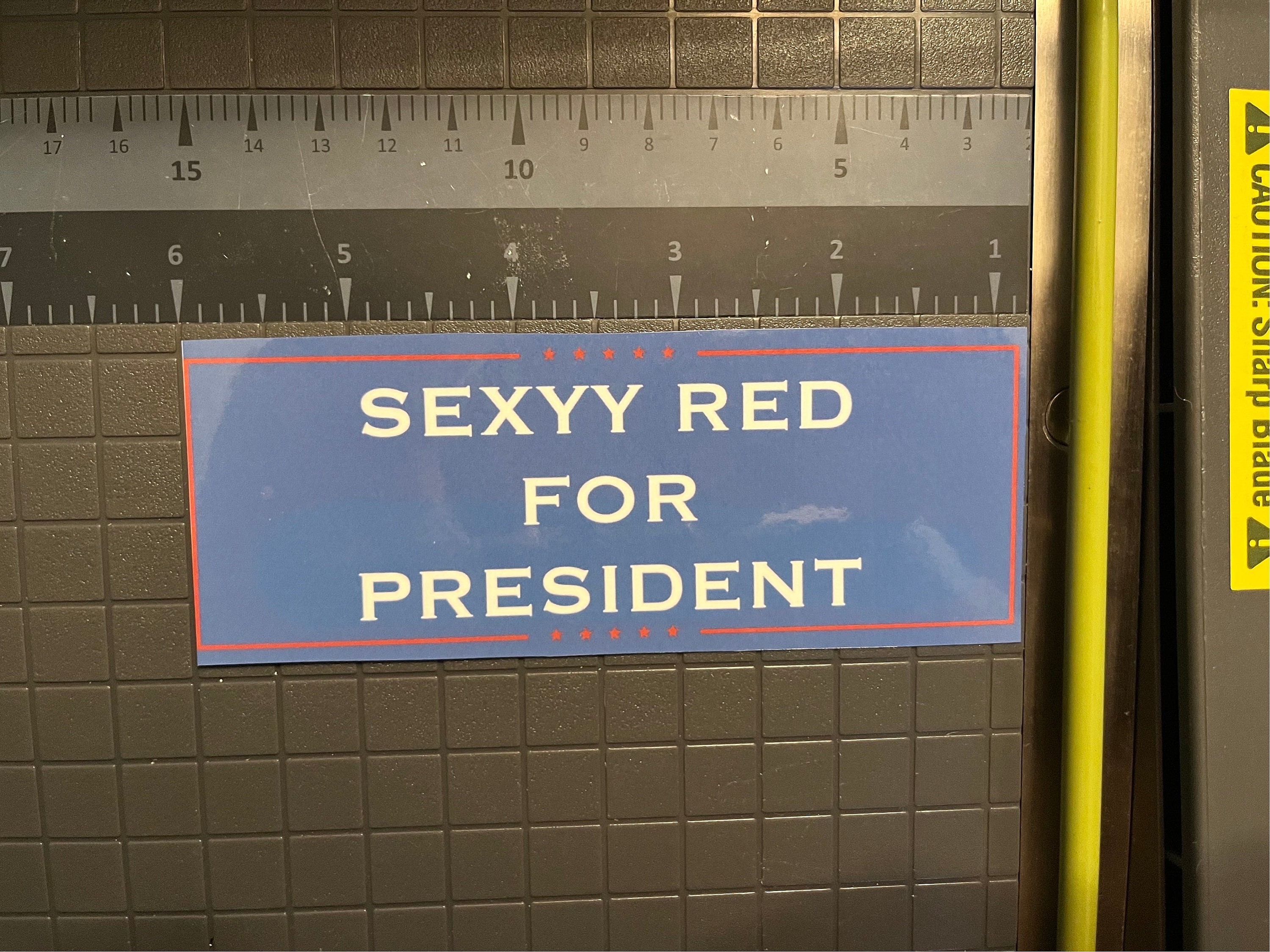 Sexyy Red Car Bumper Sticker / Presidential Election / Funny / Parody ...