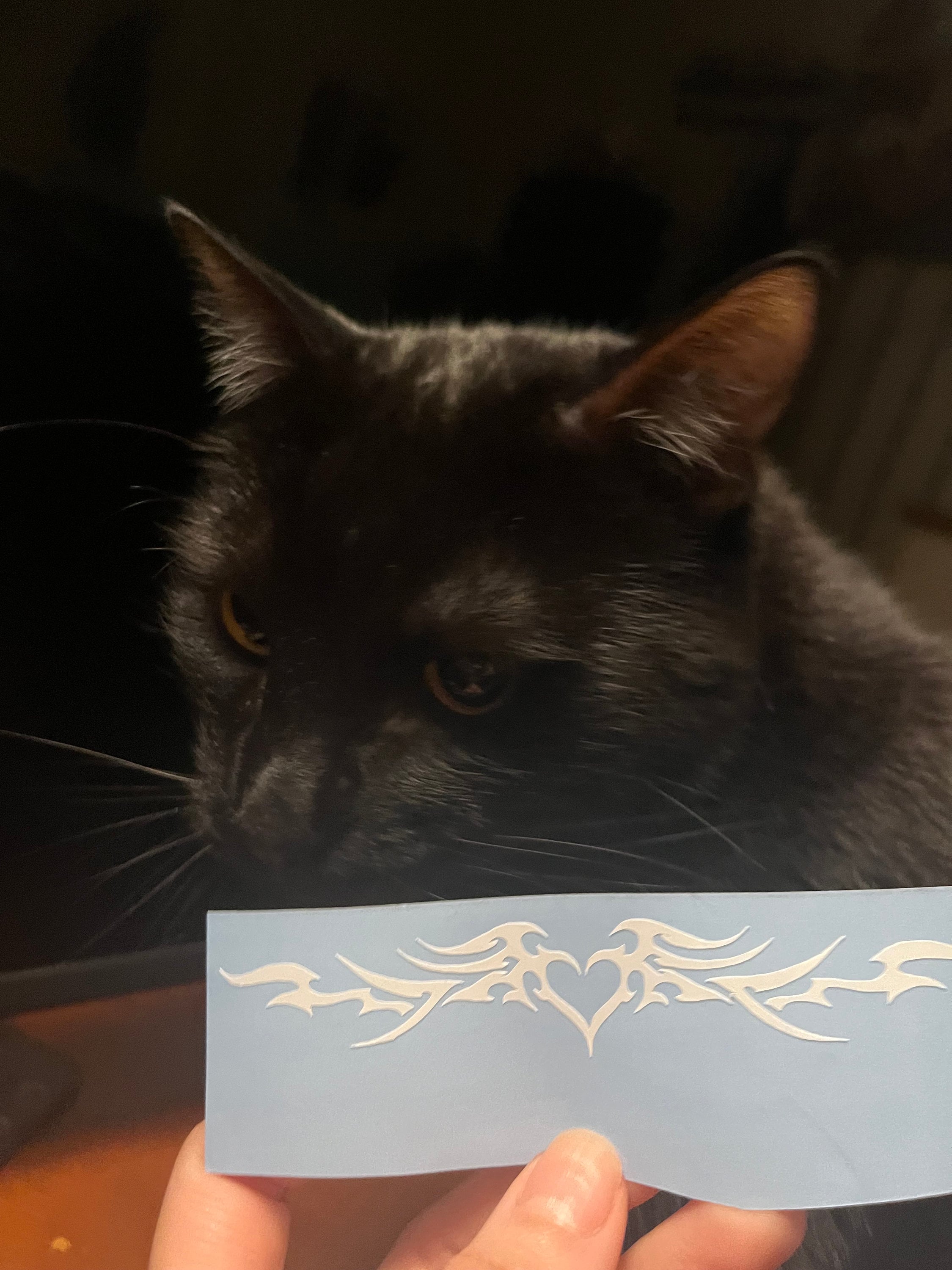 Mini Y2K Tramp Stamp Decal Vinyl Sticker - Etsy