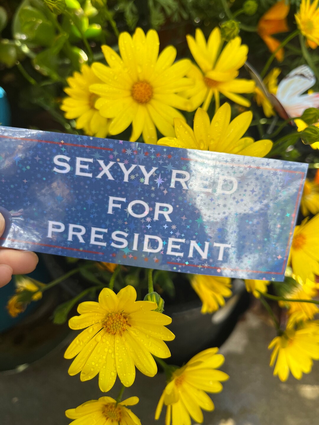 Sexyy Red Car Bumper Sticker / Presidential Election / Funny / Parody ...