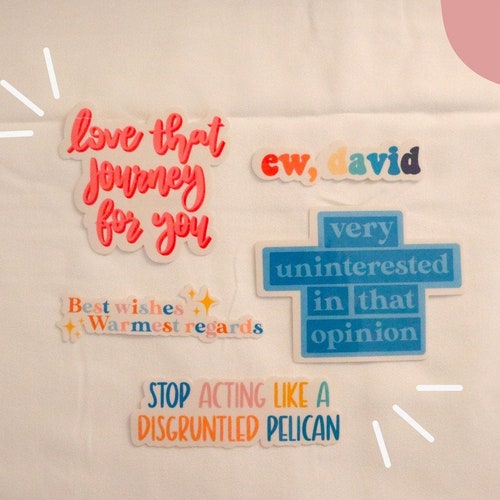 Schitts Creek David Vinyl Sticker - Etsy