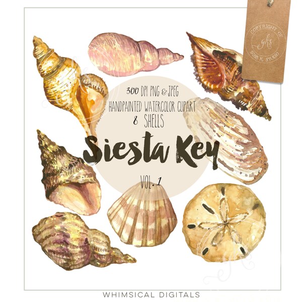 Sand Dollar Clipart - Etsy